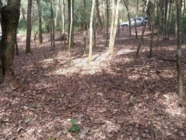 Sítio para venda em Chácara Flórida, Itu