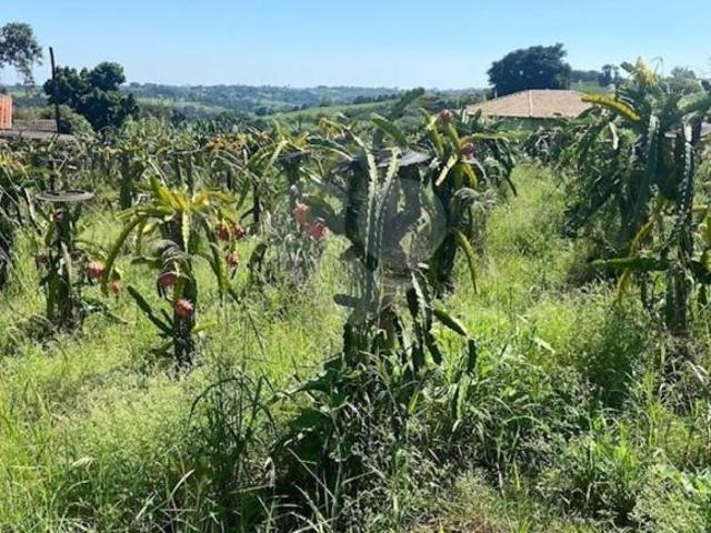 Chácara para venda em Chácaras Alpina, Valinhos