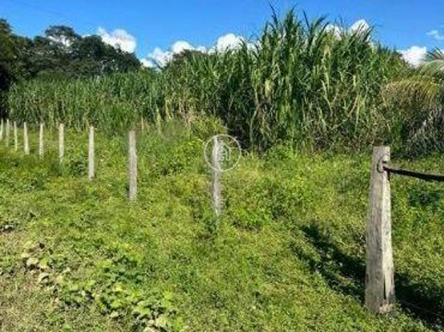 Sítio para venda em Cintra, Montes Claros