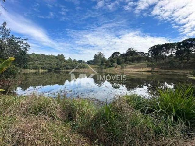 Sítio para venda em Colônia Santa Maria, Piraquara