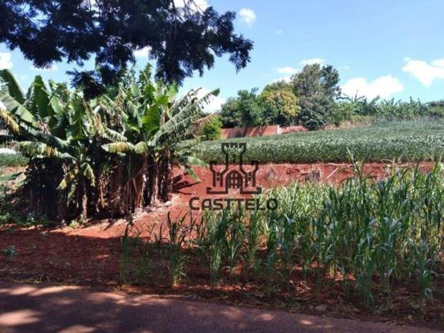 Sítio para venda em Coroados, Londrina