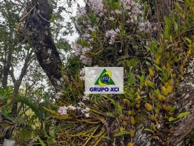 Sítio para venda em Douradinho, Piedade