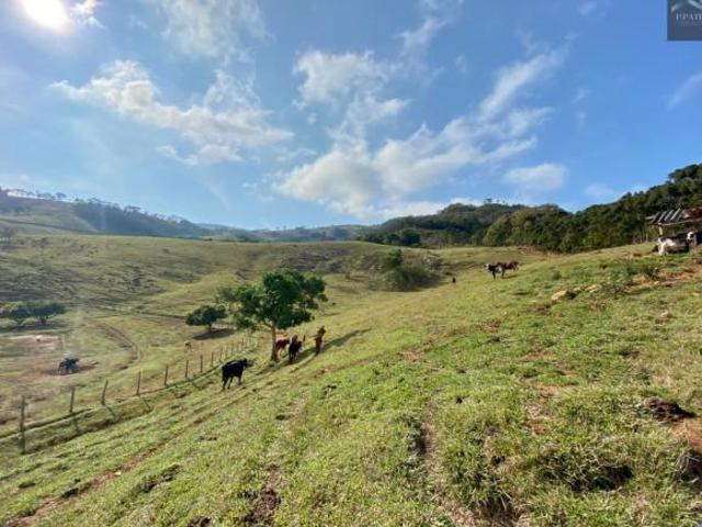 Sítio para Venda em Extrema, ZONA RURAL, 3 dormitórios, 2 banheiros, 4 vagas