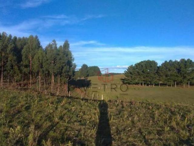Sítio para venda em Eletra, São Francisco de Paula