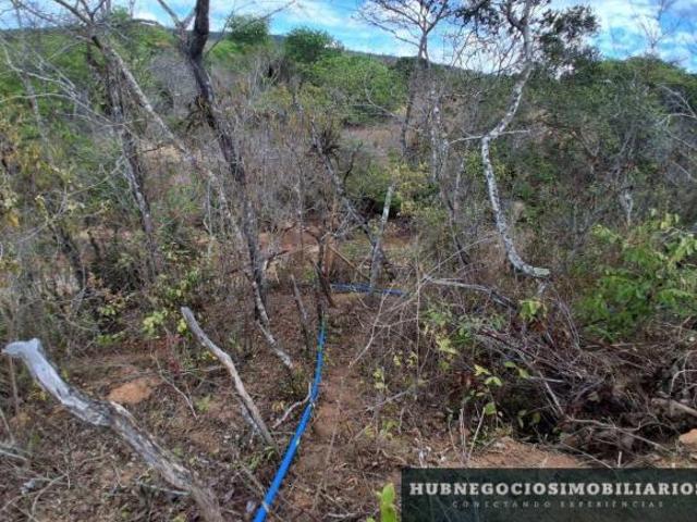 Sítio para venda em Ermidinha, Montes Claros