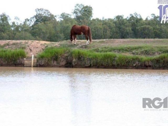 Sítio para venda em Estância Grande, Viamão