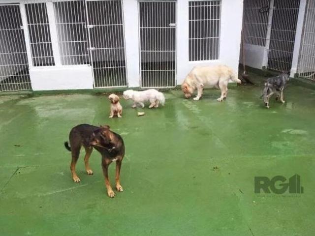 Sítio para venda em Estância Grande, Viamão