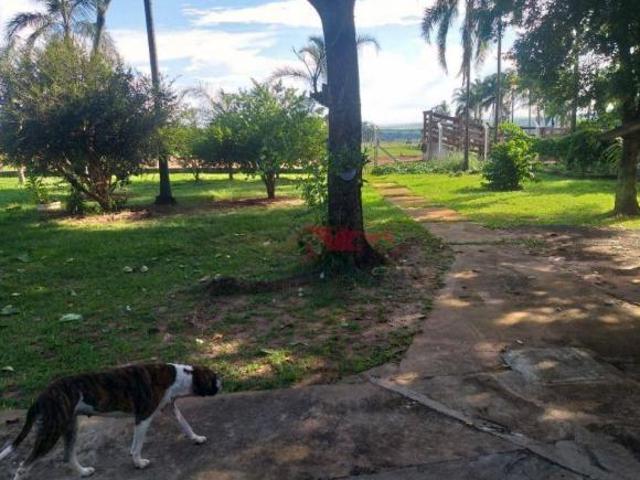 Sítio para venda em Frutal