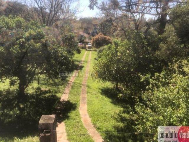 Sítio para Venda em Guaíba Country Club Eldorado do Sul RS