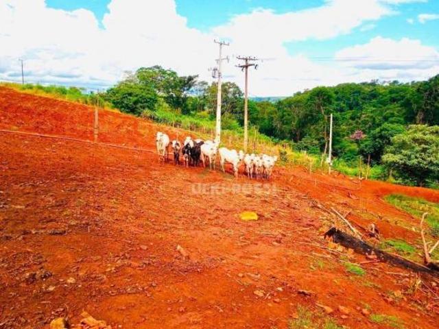 Sítio para venda em Guairacá, Londrina