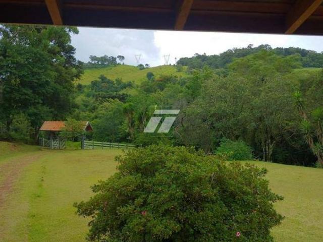 Sítio para venda em Guaraniaçu