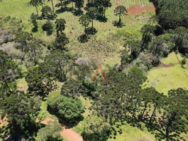 Sítio para venda em Guarapuava