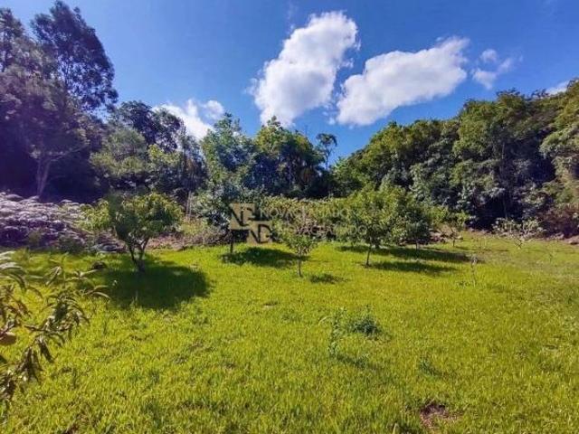Sítio para venda em Gramado