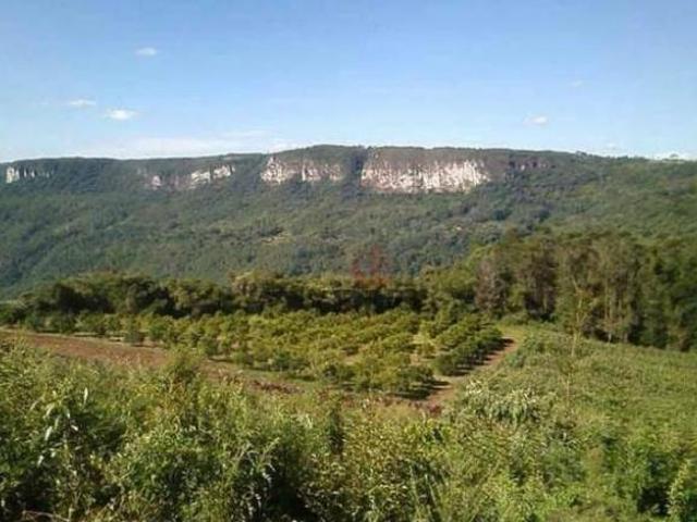 Sítio para venda em Gramado