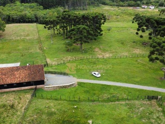 Sítio para venda em Gramado
