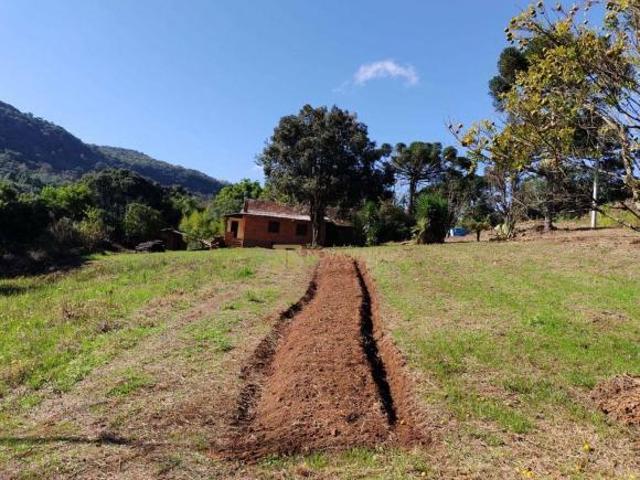 Sítio para venda em Gramado