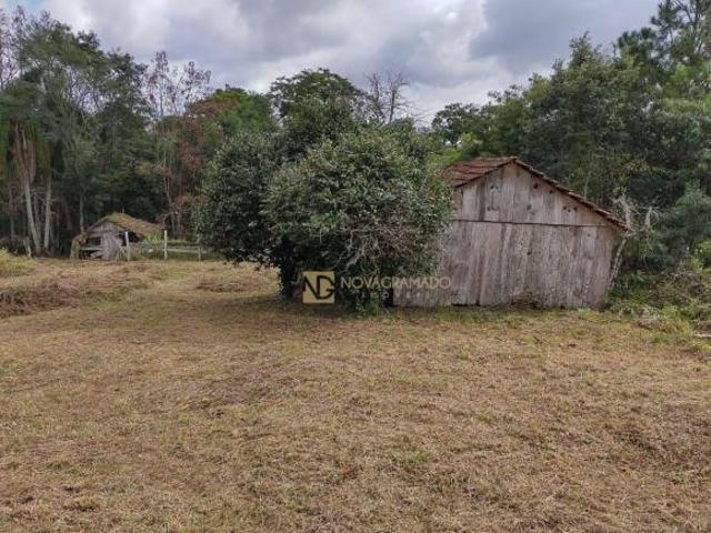 Sítio para venda em Gramado
