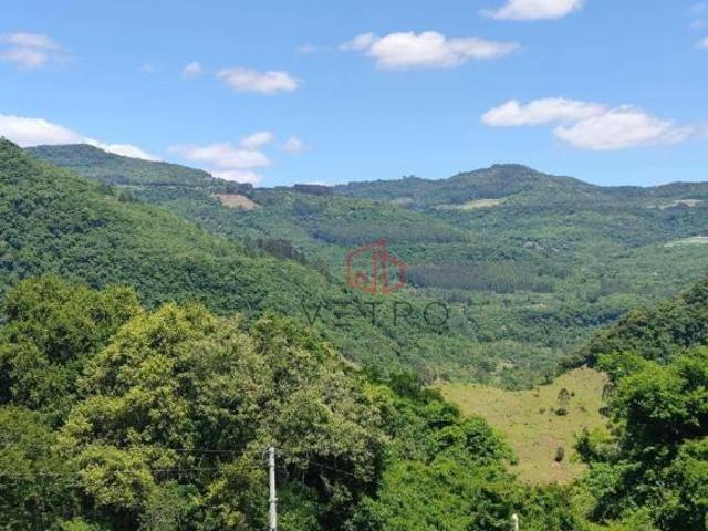 Sítio para venda em Gramado