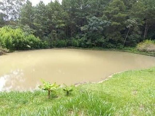 Sítio para venda em Itapetinga, Atibaia
