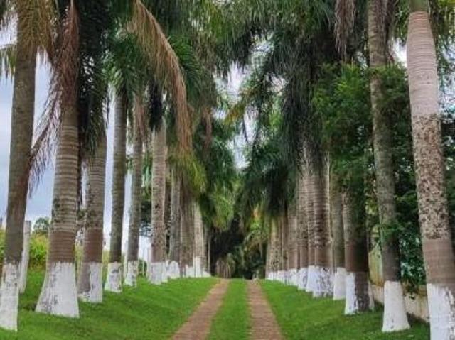 Sítio para Venda em Itapetininga, 03 km do Asfalto