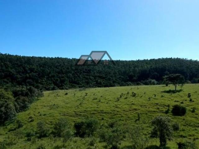 Sítio para Venda em Itu