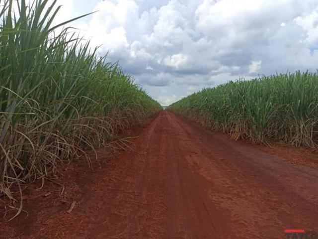Sítio para Venda em Ituverava, RURAL