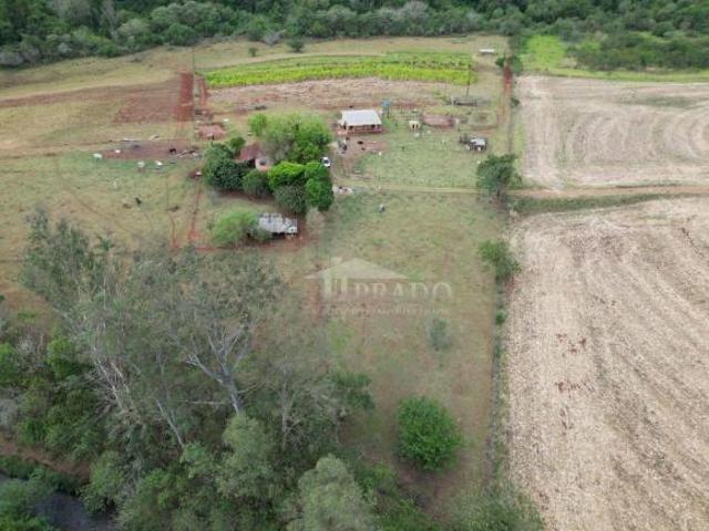 Sítio para venda em Ibiporã