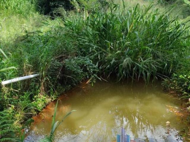 Sítio para Venda em Ibirité, Vila Nova Esperança, 3 dormitórios, 1 banheiro, 10 vagas