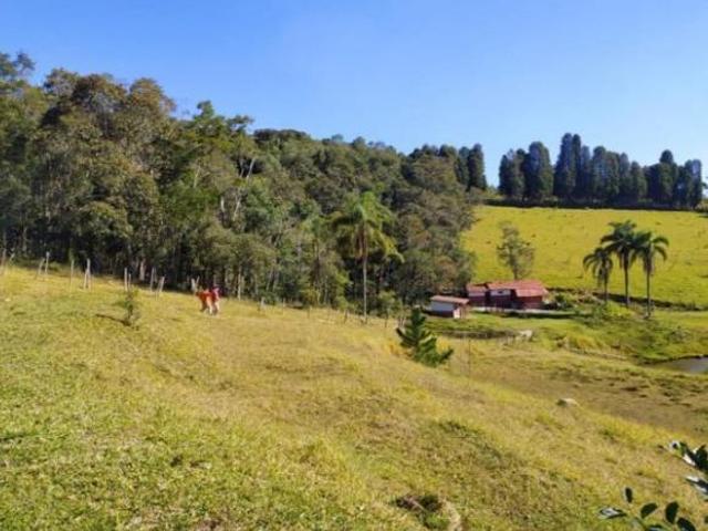 Sítio para venda em Ibiúna