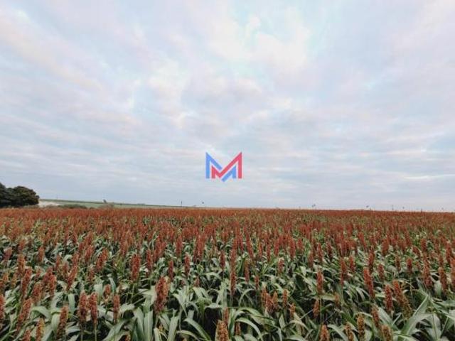 Sítio para Venda em Indaiatuba, Divisa Indaiatuba e Monte Mor