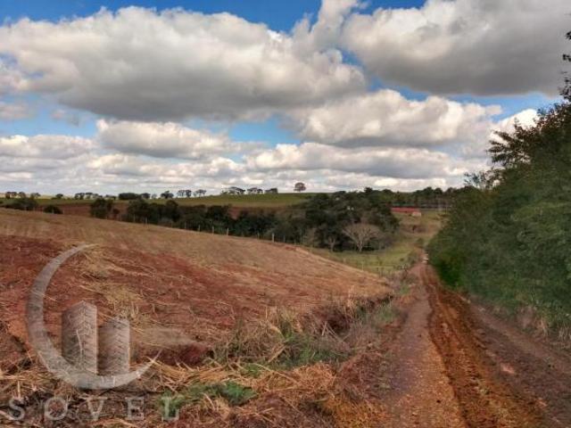 Sítio para Venda em Ipeúna, zona rural, 2 dormitórios, 1 banheiro, 2 vagas