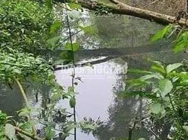 Sítio para venda em Irerê, Londrina