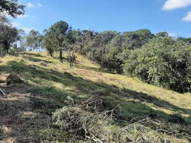 Sítio para venda em Jundiaí Mirim, Jundiaí