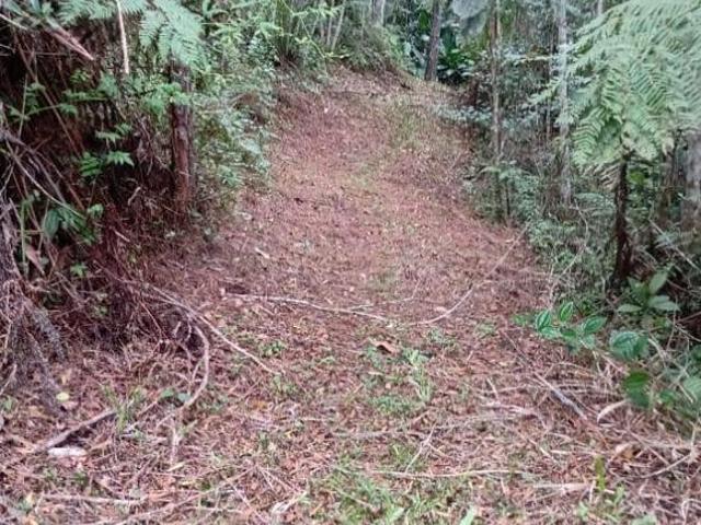 Sítio para venda em Juquitiba