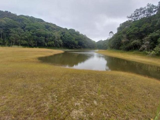 Sítio para Venda em Juquitiba, AREA RURAL, 2 dormitórios, 1 banheiro, 3 vagas