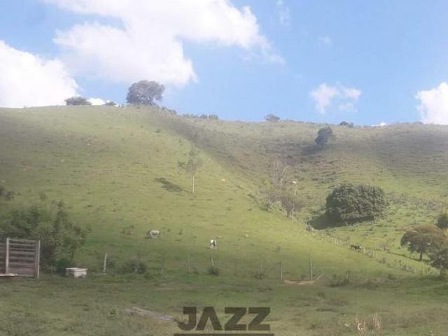 Sítio para venda em Jardim das Aves, Amparo
