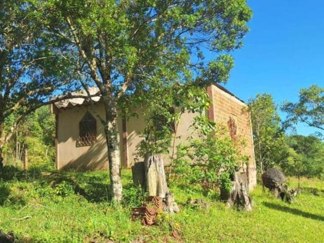 Sítio para venda em Jardim dos Lagos, Guaíba