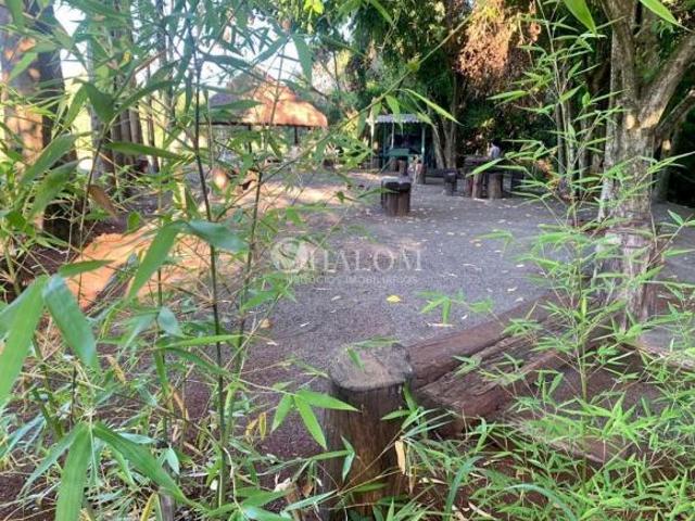 Sítio para venda em Jardim Ouro Cola, Maringá