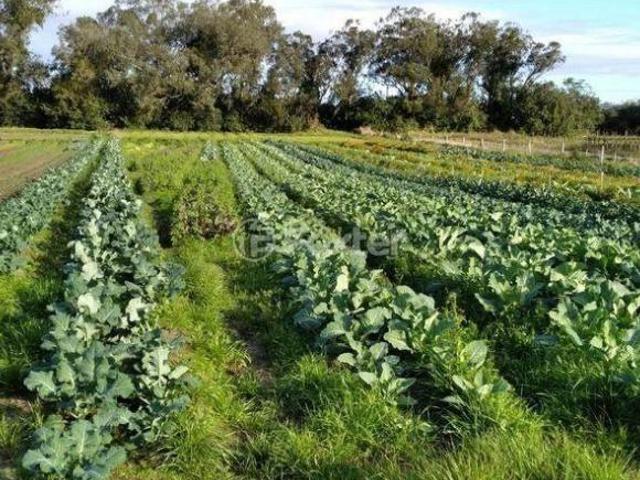 Sítio para venda em Lageado, Porto Alegre