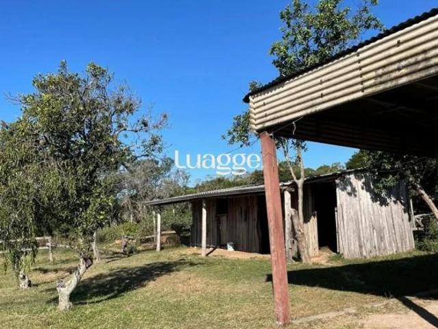 Sítio para venda em Lami, Porto Alegre
