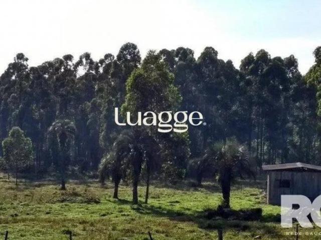 Sítio para venda em Lami, Porto Alegre