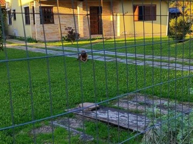 Sítio para venda em Lami, Porto Alegre