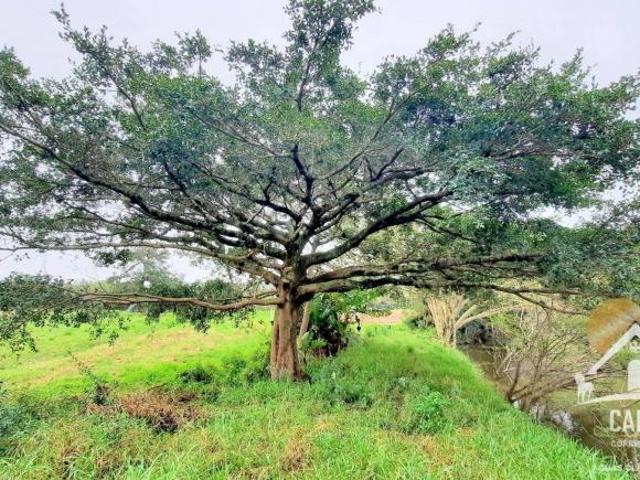 Sítio para venda em Lami, Porto Alegre
