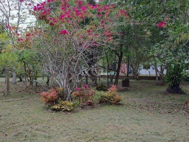 Sítio para venda em Lami, Porto Alegre