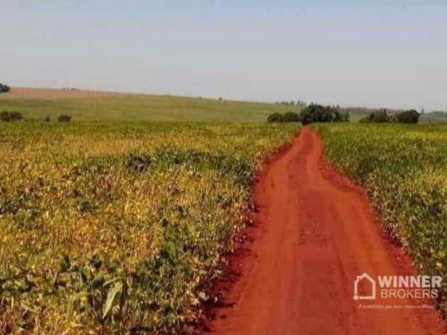 Sítio para venda em Paiçandu