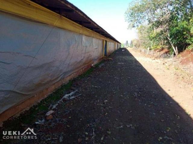 Sítio para venda em Paiquerê, Londrina