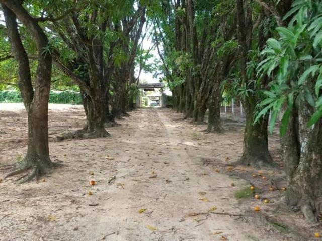 Sítio para venda em Pará de Minas
