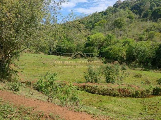 Sítio para Venda em Paraisópolis, rural