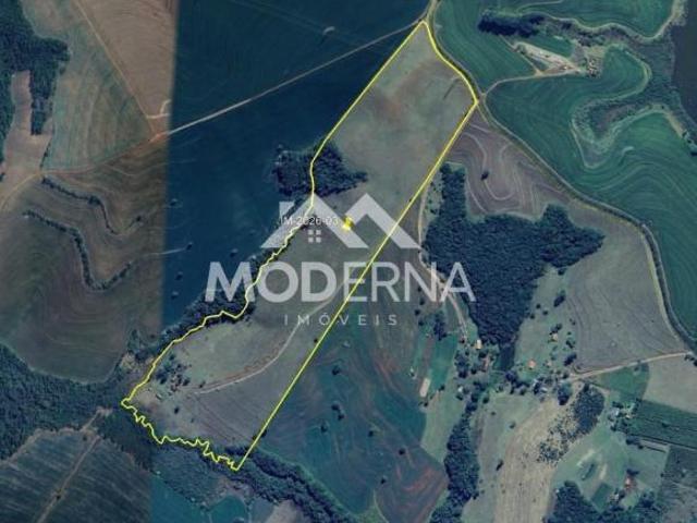 Sítio para Venda em Pardinho, Área Rural de Pardinho, 2 dormitórios, 1 banheiro