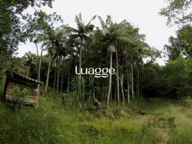 Sítio para venda em Parque Florestal Itapuã, Viamão